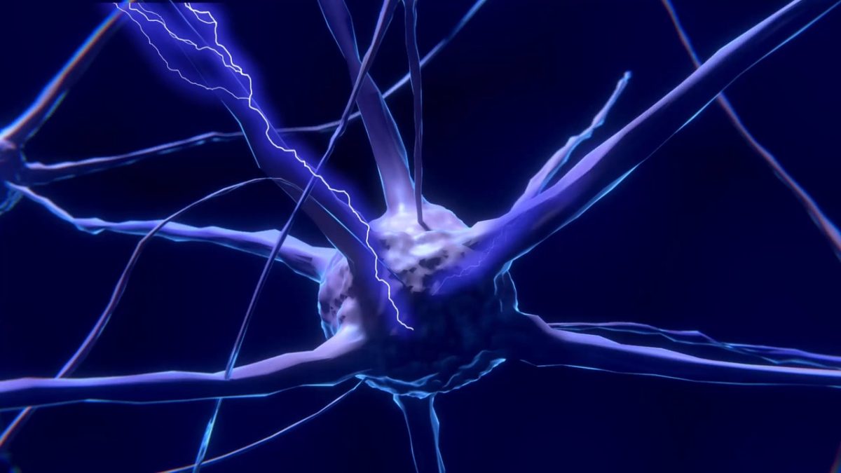 Brazoria Neurological Associates